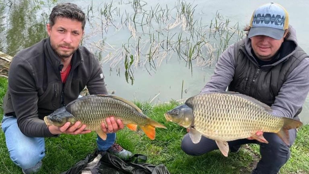 Pescuit - Complex Lacul Benga